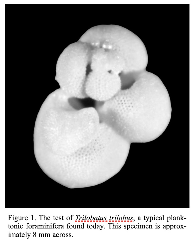 DELTA Newsletter Page